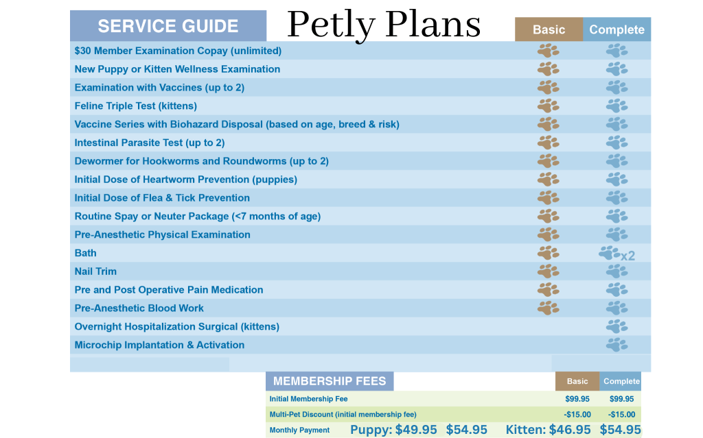 Puppy & Kitten Plans in Florence, AL | West Lauderdale Veterinary Hospital